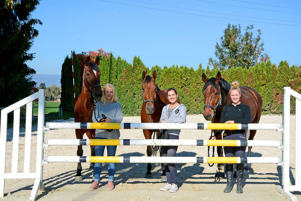 Reiterinnen_G71_5147_bea | Anzeiger von Kerzers